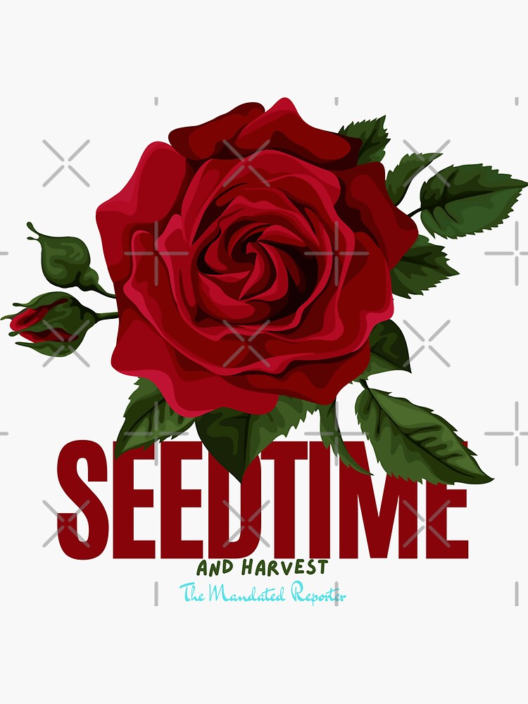 "Seedtime and Harvest - Rose" Sticker for Sale by TheReporter1 | Redbubble