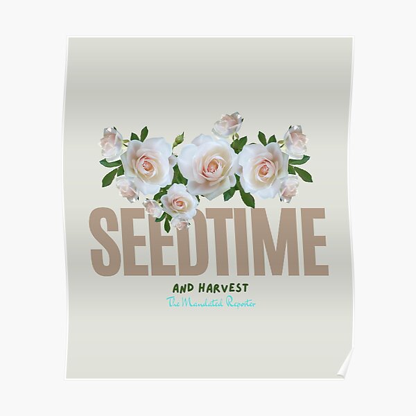 "Seedtime and Harvest - White Rose" Poster for Sale by TheReporter1 ...