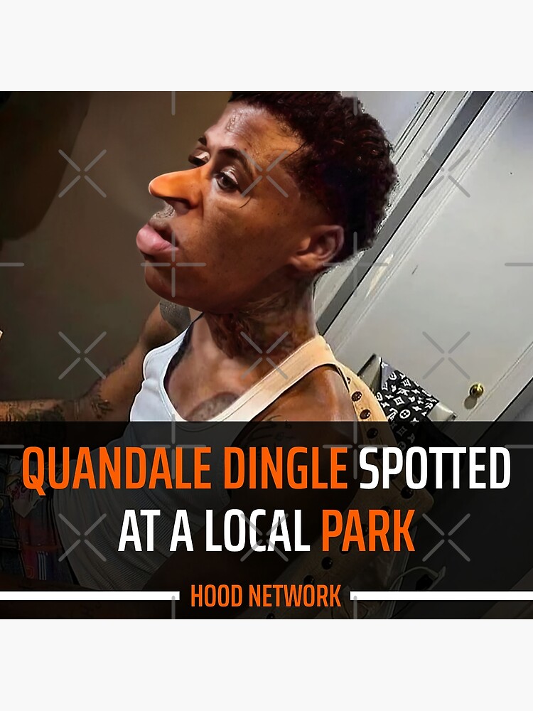 "HQ Quandale Dingle Meme Spotted at a Local Park" Poster by fomodesigns ...