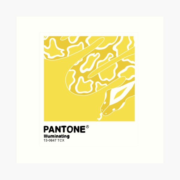 "Pantone Illuminating Albino Burmese Python " Art Print for Sale by ...