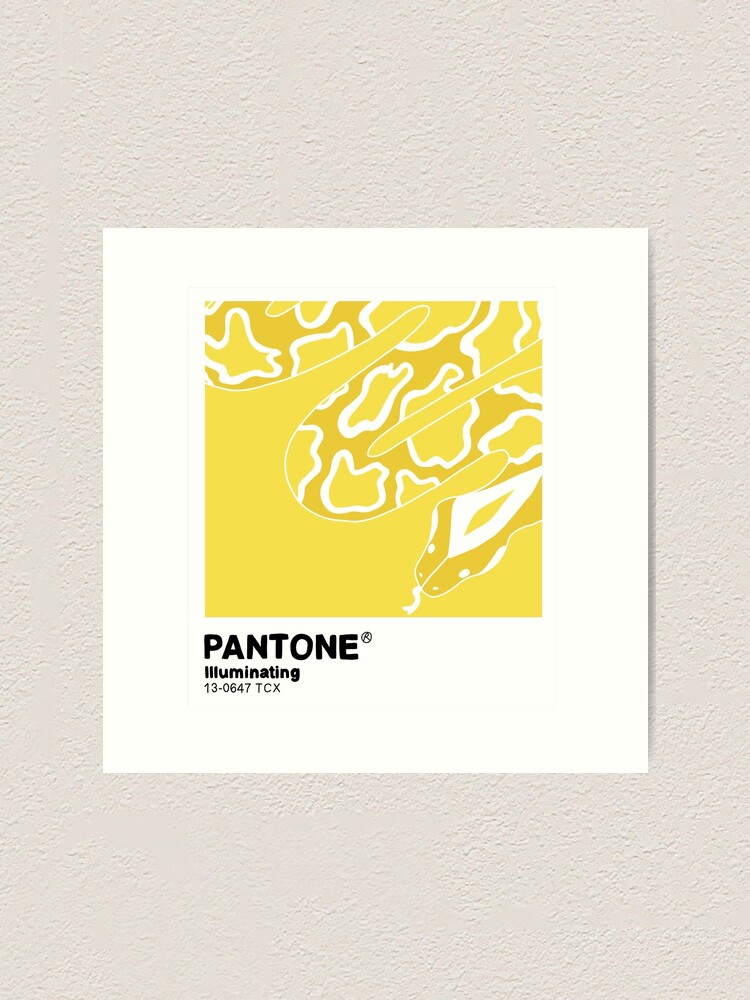 "Pantone Illuminating Albino Burmese Python " Art Print for Sale by ...