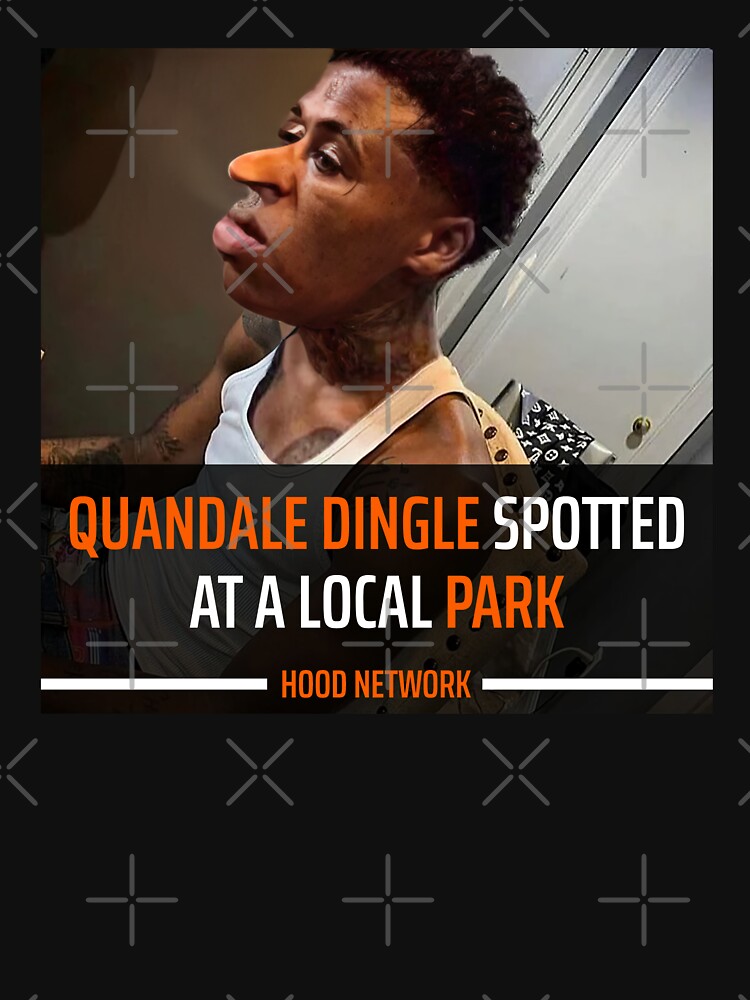 "HD Meme Face Quandale Dingle Spotted at a Local Park" T-shirt by ...