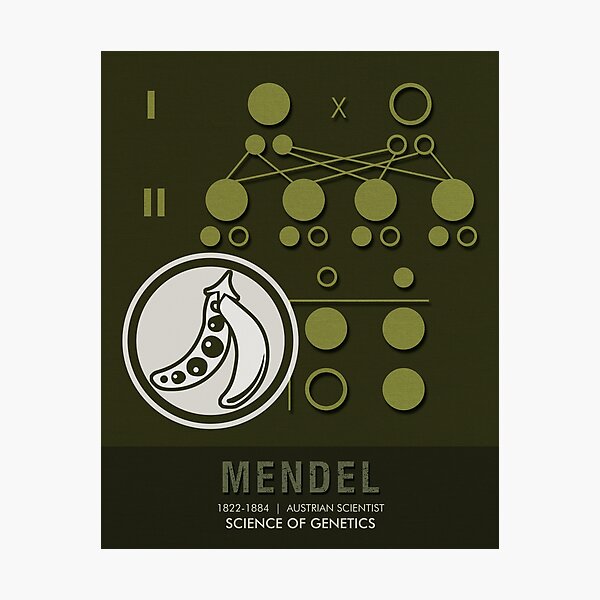 "Science Posters - Gregor Mendel - Geneticist, Scientist" Photographic ...