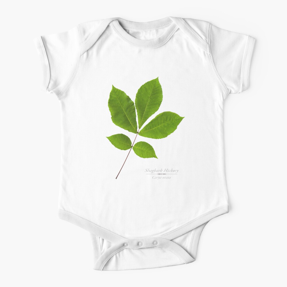 "Shagbark Hickory Tree" Baby One-Piece for Sale by rollosphotos | Redbubble