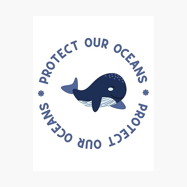 "blue whale the blue whale balaenoptera musculus is a marine mammal and ...