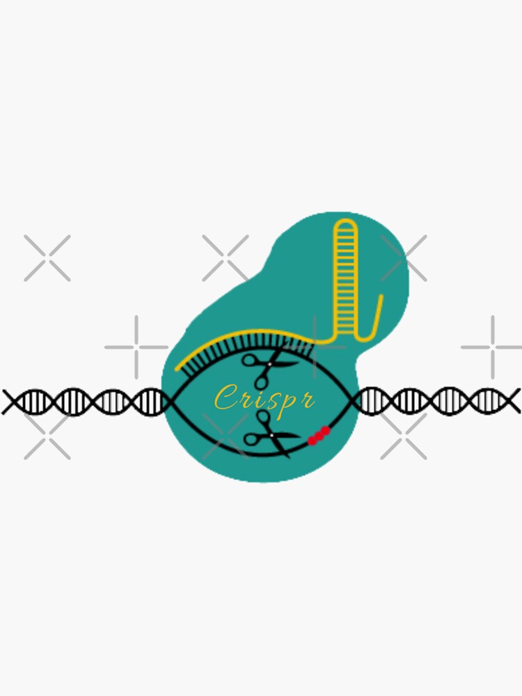 "CRISPR" Sticker for Sale by ScienceStores | Redbubble