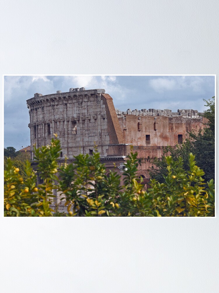 "Roman Coliseum" Poster for Sale by JudsonJoyce | Redbubble