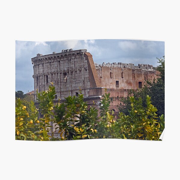 "Roman Coliseum" Poster for Sale by JudsonJoyce | Redbubble