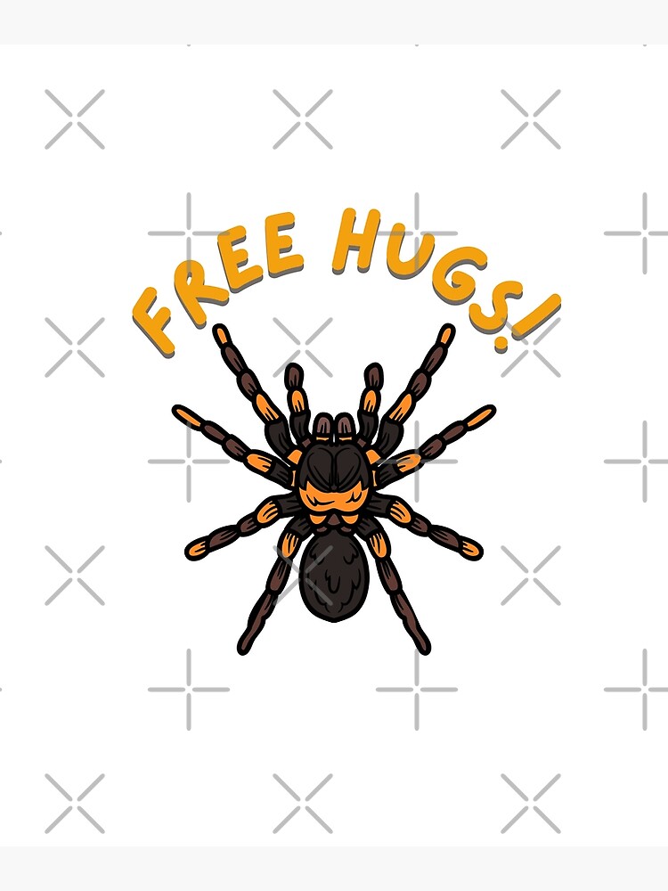 "Free Hugs Tarantula - Get a Free Hug from Tarantula Spider - Cute ...