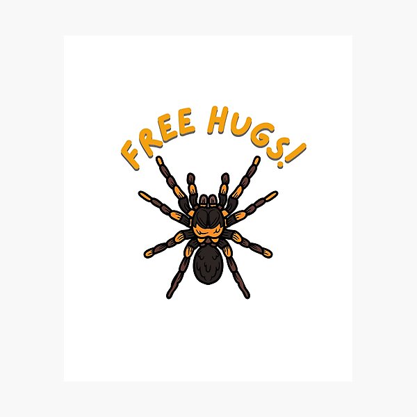 "Free Hugs Tarantula - Get a Free Hug from Tarantula Spider - Cute ...