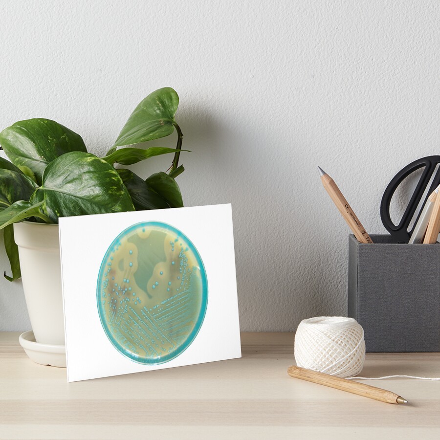 "Listeria growing an ALOA agar" Sticker for Sale by fromthelab | Redbubble
