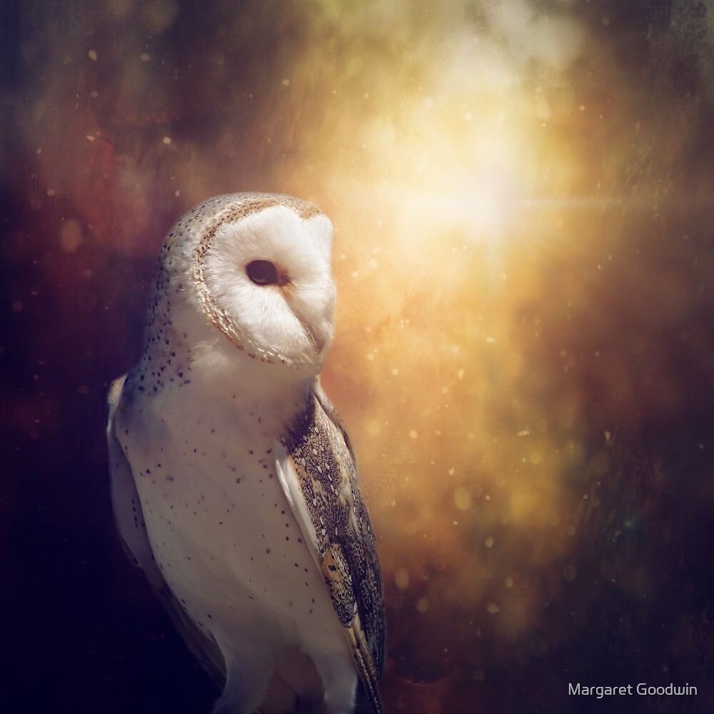 "Magical Owl" by Margaret Goodwin | Redbubble