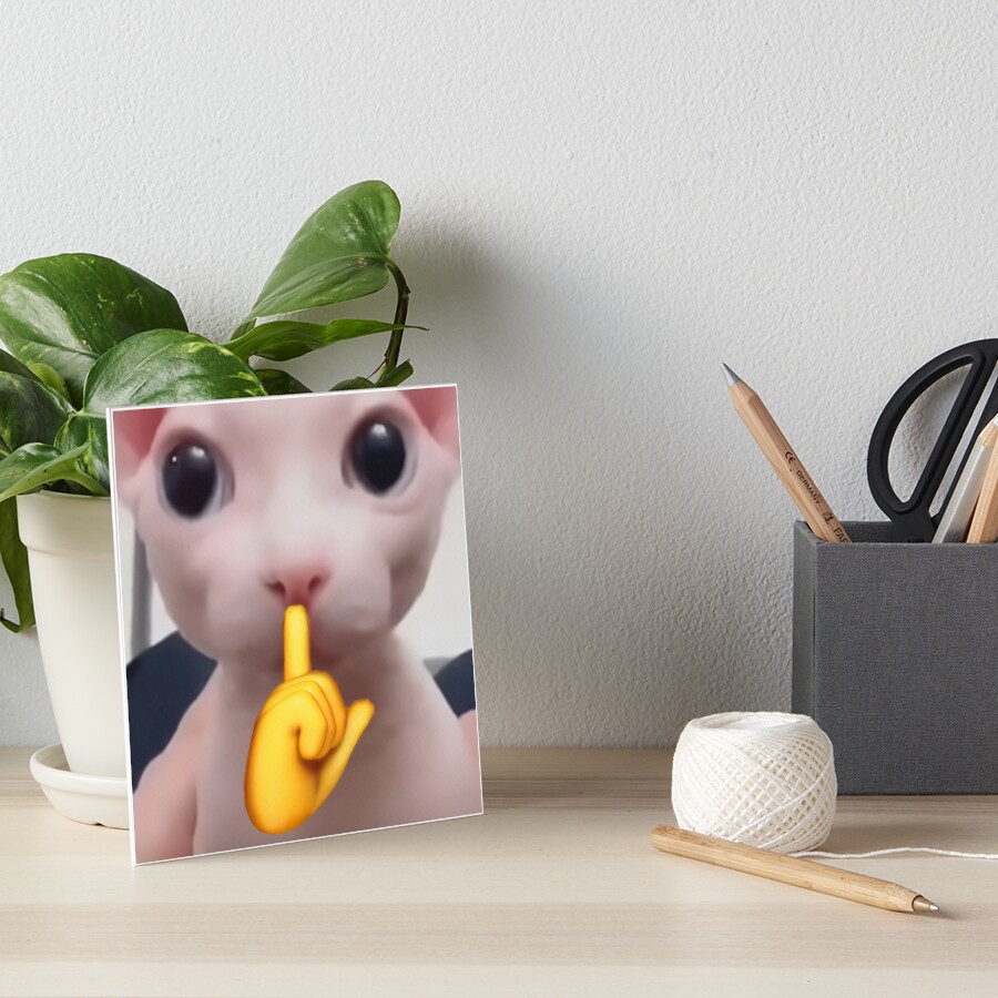 "HQ Bingus Shushing Cat Meme " Art Board Print for Sale by fomodesigns ...