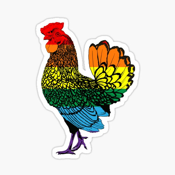 "Chicken 3: Rainbow Pride Flag (2022)" Sticker by ziafrazier | Redbubble