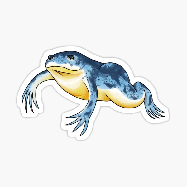 "Aroace African Clawed Frog" Sticker for Sale by theweaselking | Redbubble