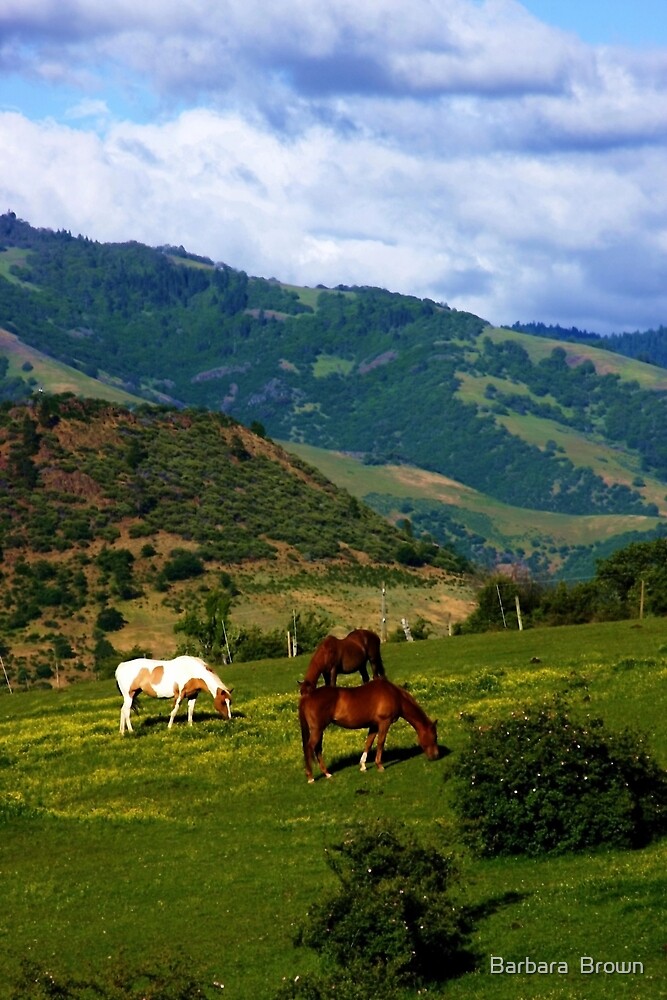 "Oregon Countryside" by Barbara Brown | Redbubble