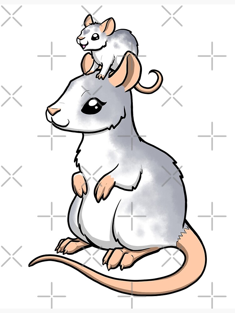 "Mama Rat" Poster for Sale by bgolins | Redbubble
