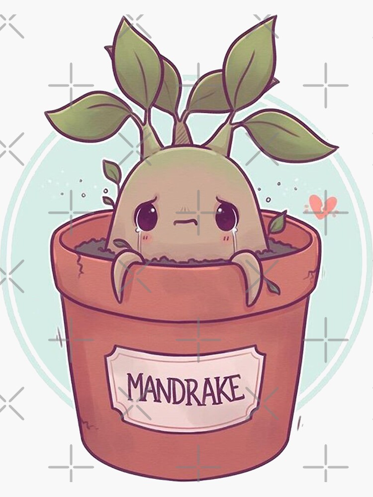 "Cute Mandrake Plant Pot" Sticker for Sale by janmarkvargas | Redbubble