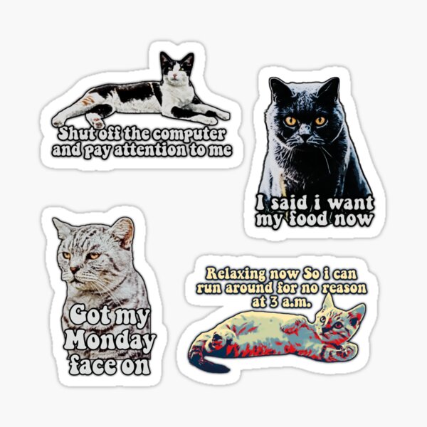 "Funny cat memes sticker pack for kitten owners" Sticker for Sale by ...