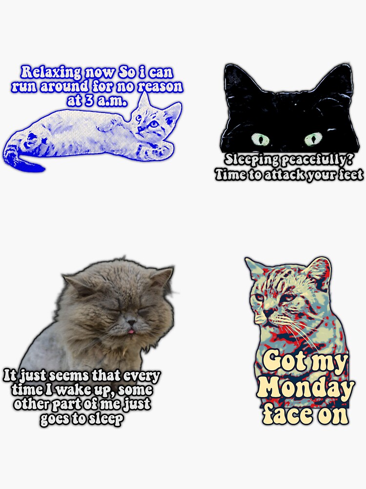 "Funny cat memes sticker pack for cat owners who love adorable kittens ...