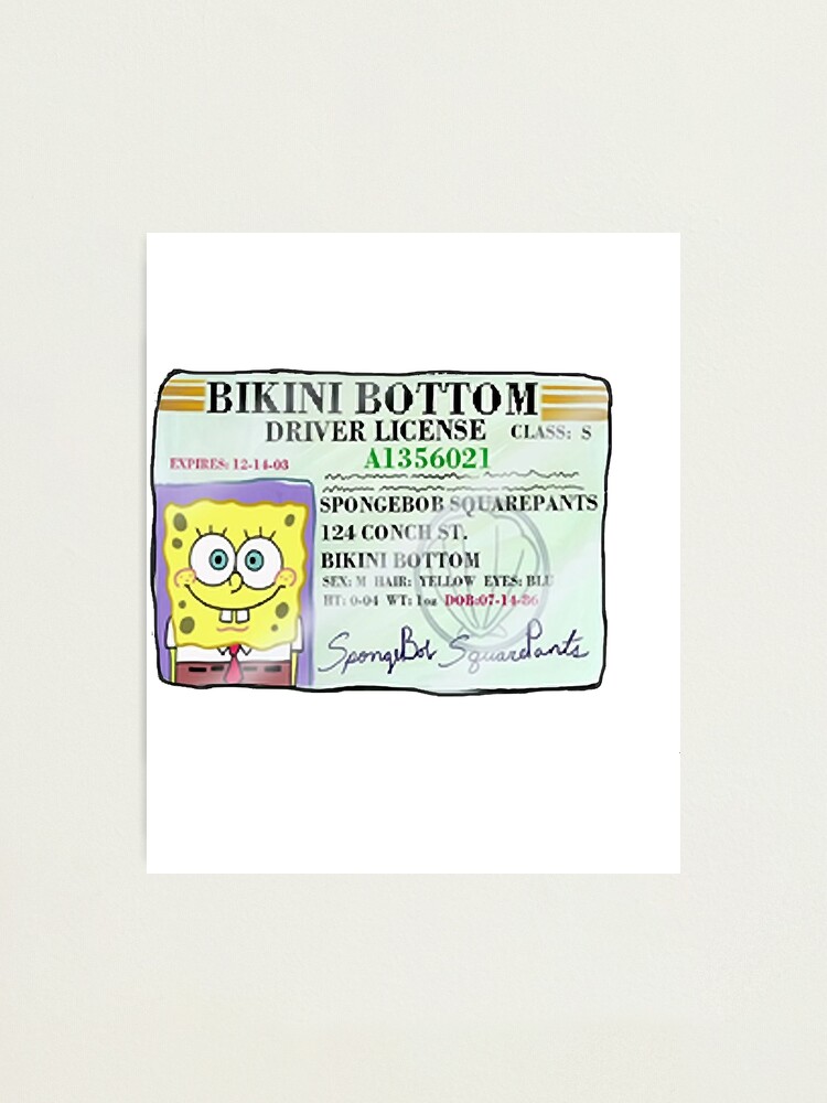 "Spongebob Squarepants Driver's License Sticker" Photographic Print for ...