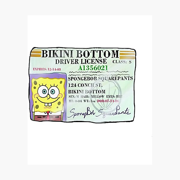 "Spongebob Squarepants Driver's License Sticker" Photographic Print for ...