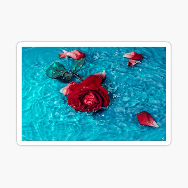 "Arte mista" Sticker for Sale by Francescastar88 | Redbubble