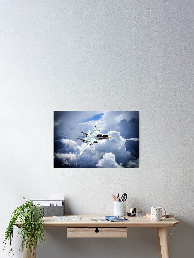 "The Tomcat" Poster for Sale by Airpower Art | Redbubble