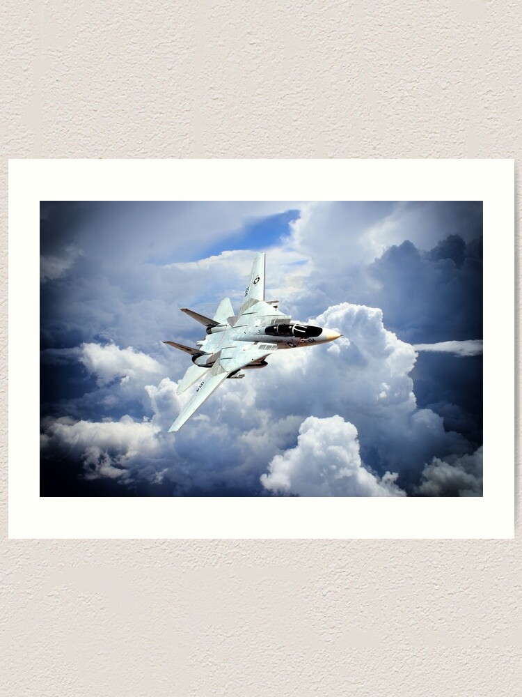 "The Tomcat" Art Print for Sale by aviationart | Redbubble