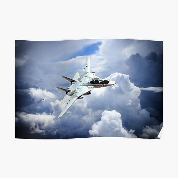 "The Tomcat" Poster for Sale by Airpower Art | Redbubble