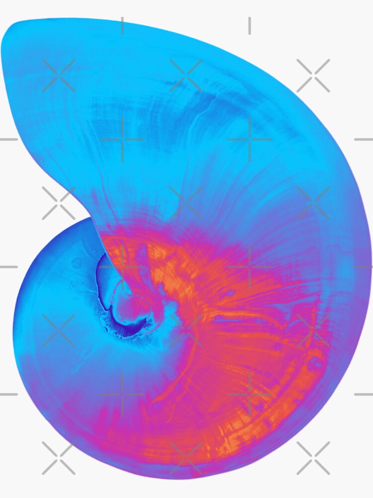 "Fibonacci Shell" Sticker for Sale by boomantique | Redbubble