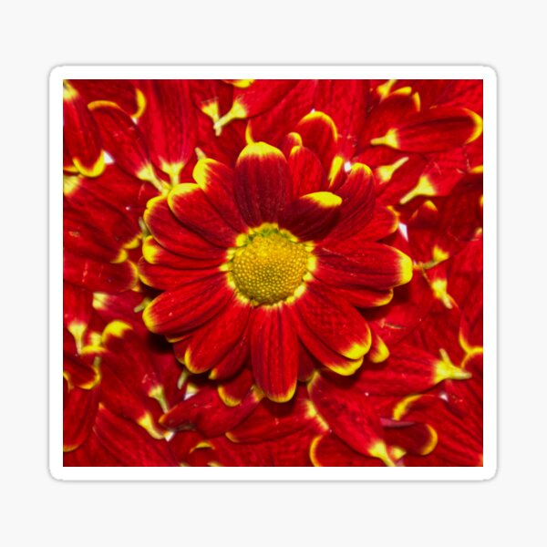 "Flower Love " Sticker for Sale by KaseKnightt11 | Redbubble