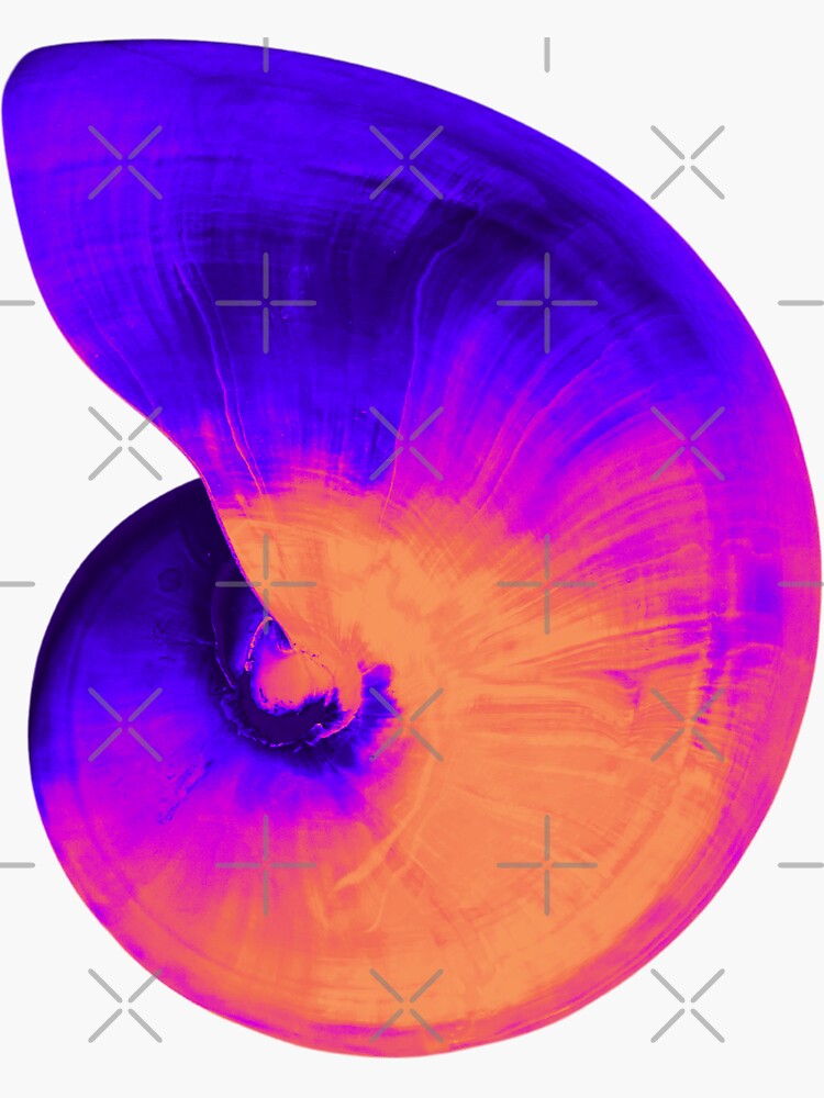 "Fibonacci Shell" Sticker for Sale by boomantique | Redbubble