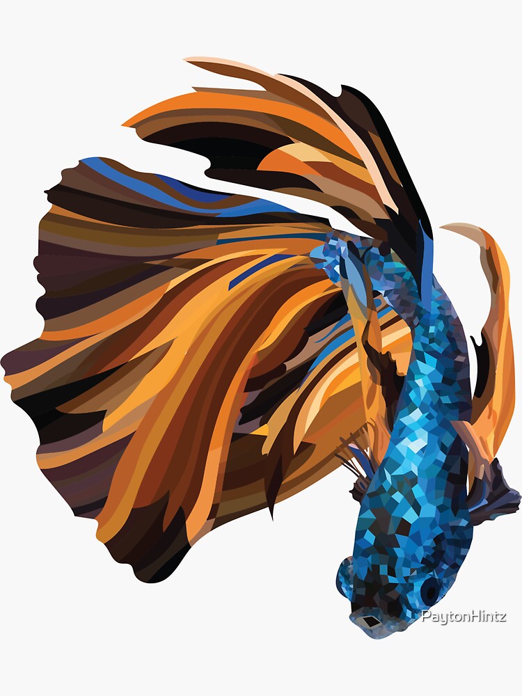 "Betta Collection" Sticker by PaytonHintz | Redbubble