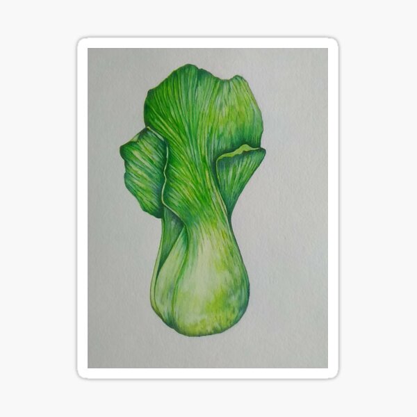 "Bok Choy" Sticker for Sale by RhinoDesign | Redbubble