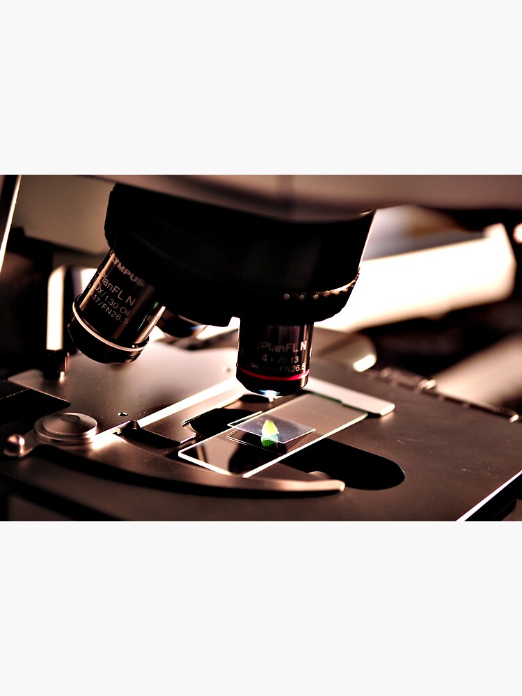 "Microscope" Sticker for Sale by nikolina94 | Redbubble