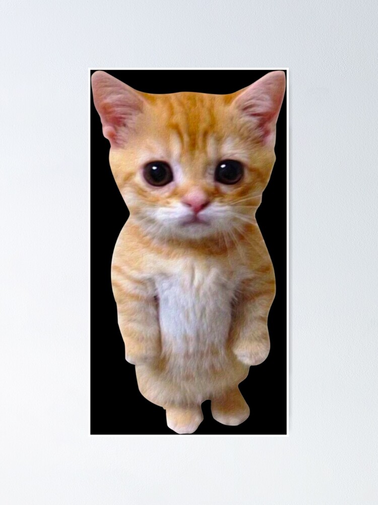 "El Gato Sad Munchkin Kitty Cat" Poster for Sale by Gnabri | Redbubble