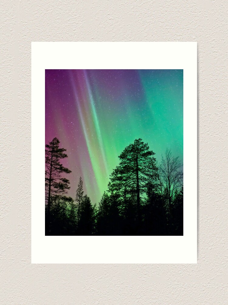 "Northern Lights Over The Forest, Beautiful Northern Lights, Northern ...