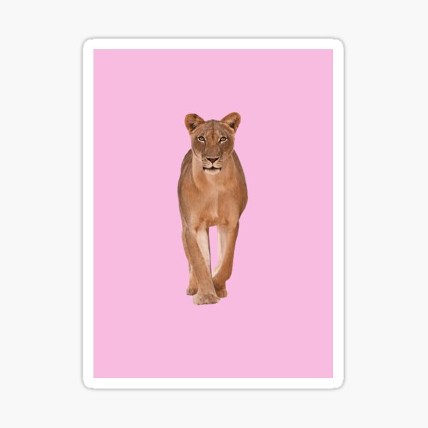 "Lioness" Sticker for Sale by CLBArtDesign | Redbubble