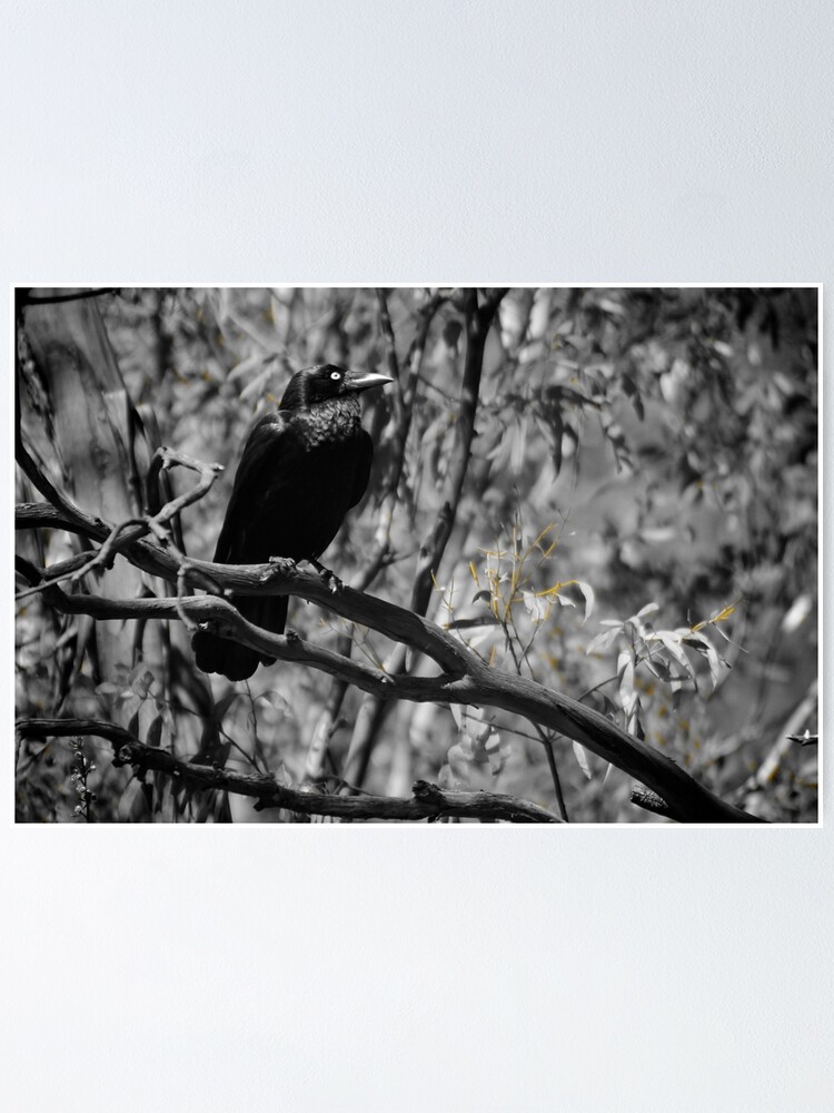 "Stone the Crows" Poster for Sale by D-GaP | Redbubble