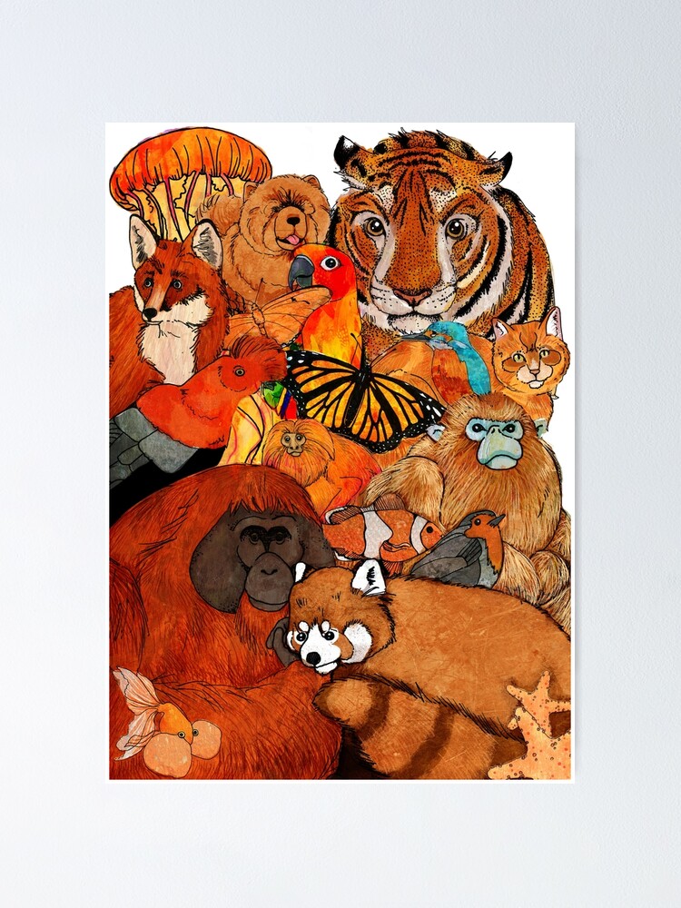 "orange animals" Poster by katherineblower | Redbubble