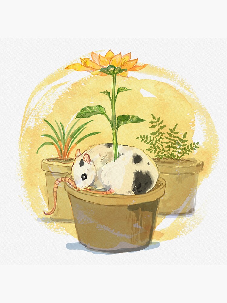 "Mouse Sleeping in a Flower Pot" Sticker for Sale by BubbleMilkyTea ...