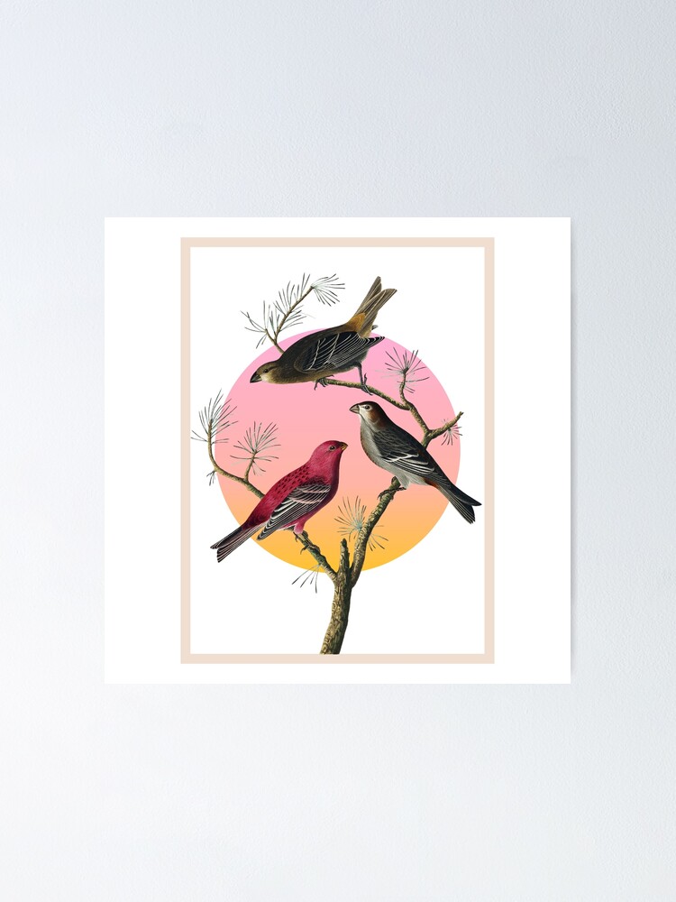 "Birds Hanging Out on the Tree Branch" Poster for Sale by vintra167 ...