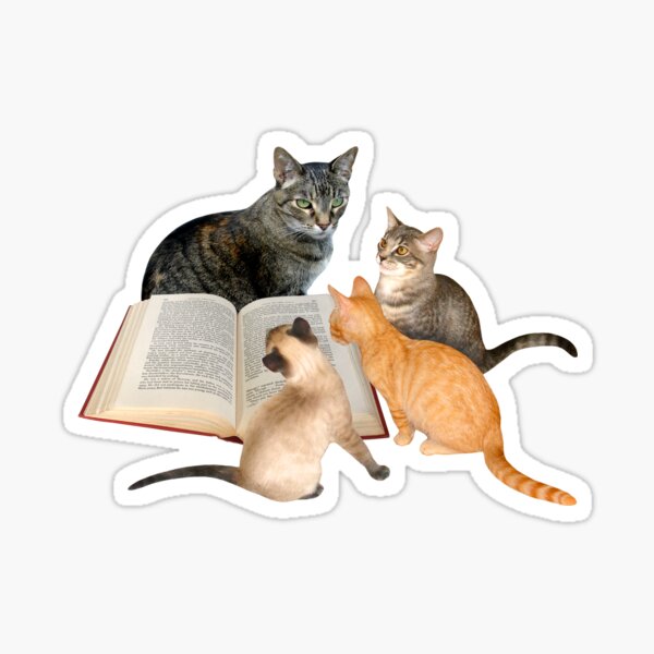 "Cats Reading Book" Sticker for Sale by catsclips | Redbubble