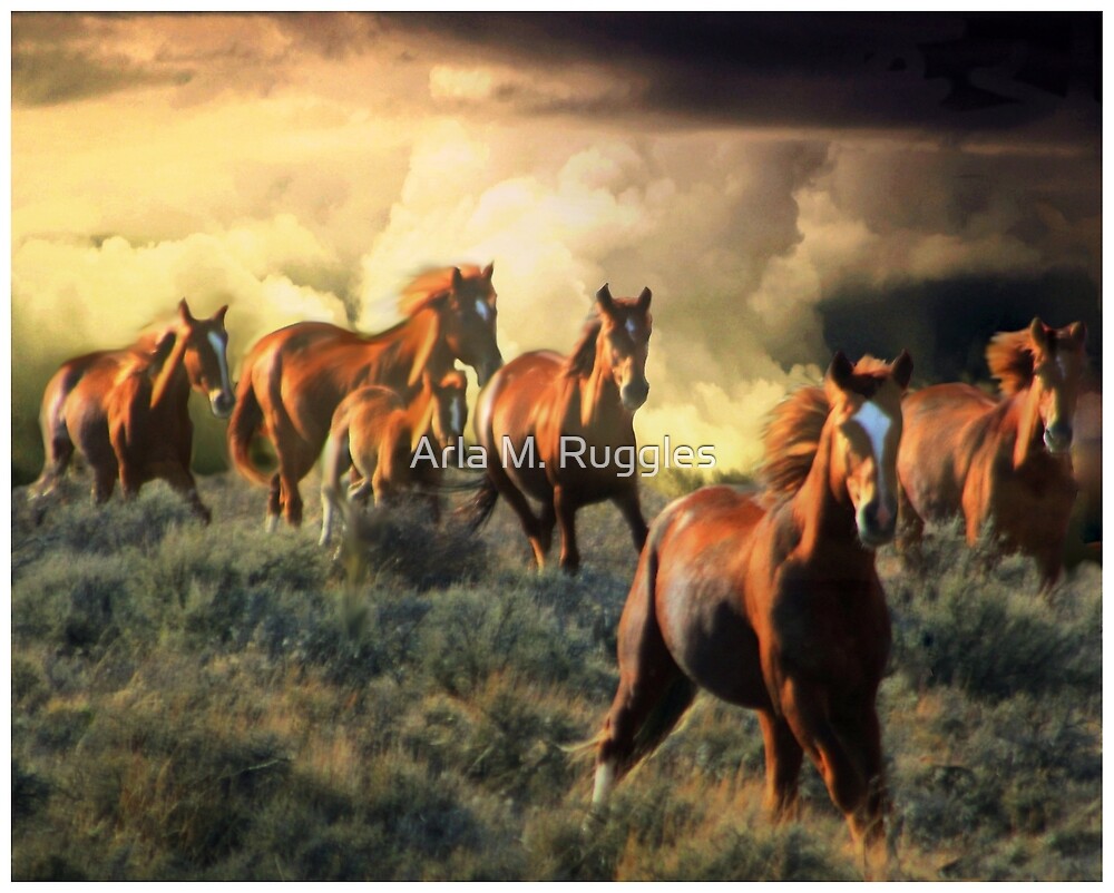 "High Desert Thunder" by Arla Ruggles | Redbubble