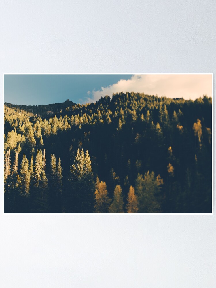 "Evergreen" Poster for Sale by chelseavictoria | Redbubble