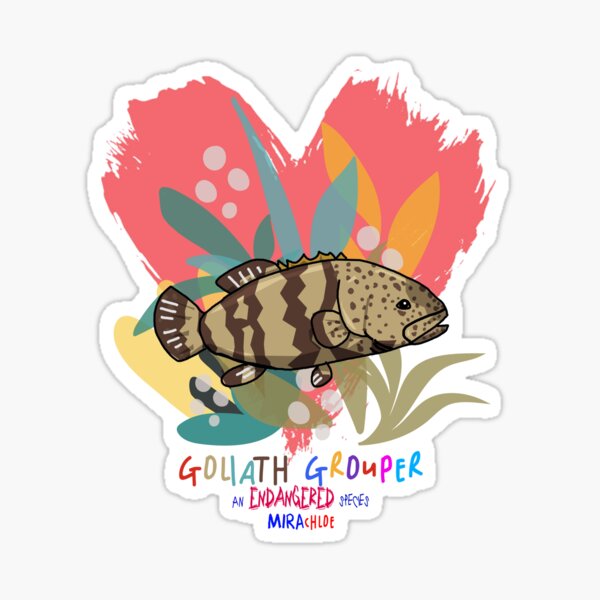 "Kids Donate to wildlife: Goliath Grouper By 5 and 7-year-old kids ...