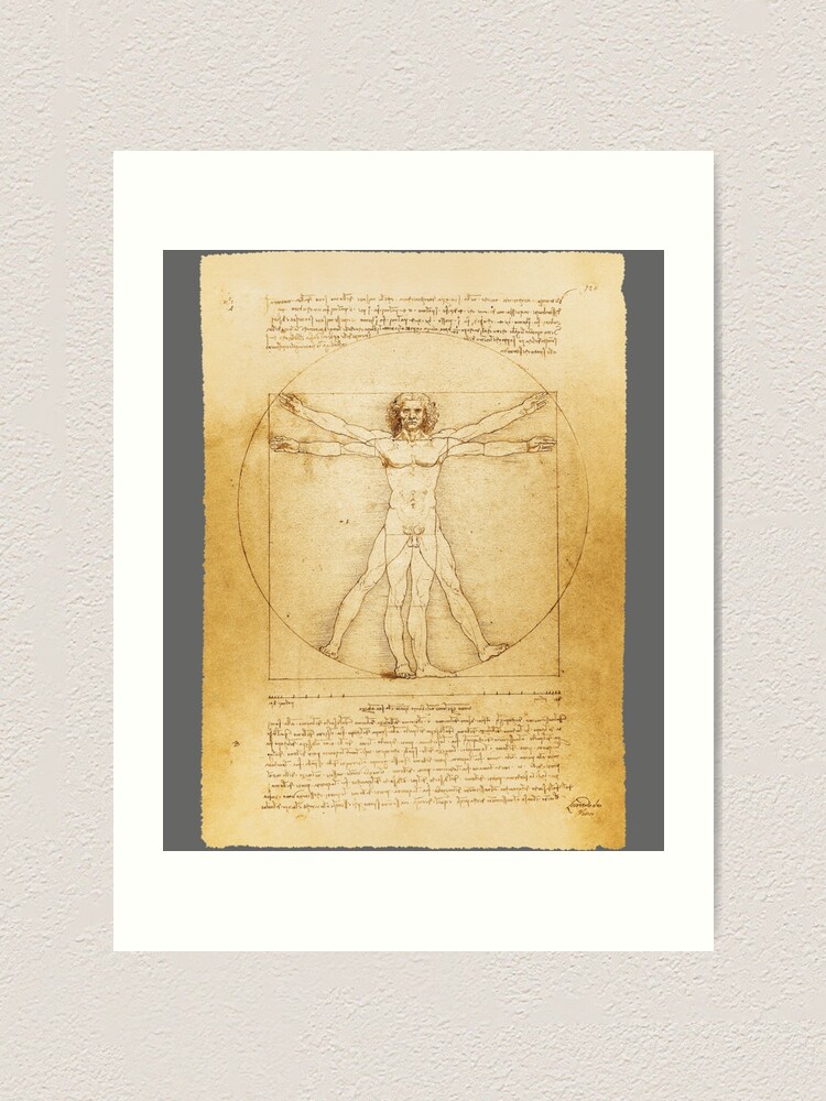 "Leonardo da Vinci Vintage sketch The Vitruvian Man The proportions of ...
