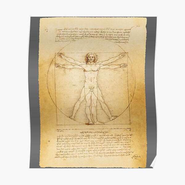 "Leonardo da Vinci Vintage sketch The Vitruvian Man The proportions of ...