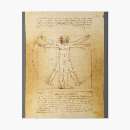 "Leonardo da Vinci Vintage sketch The Vitruvian Man The proportions of ...
